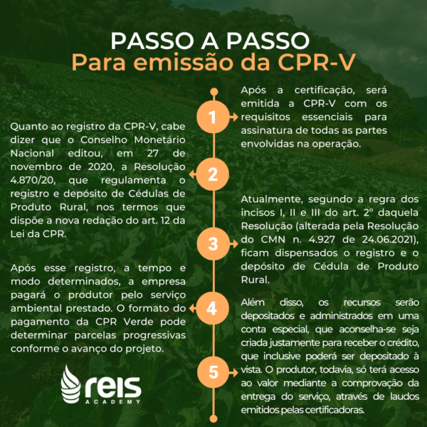 Você sabe o que é CPR Verde? (CPR-V) - Reis Academy