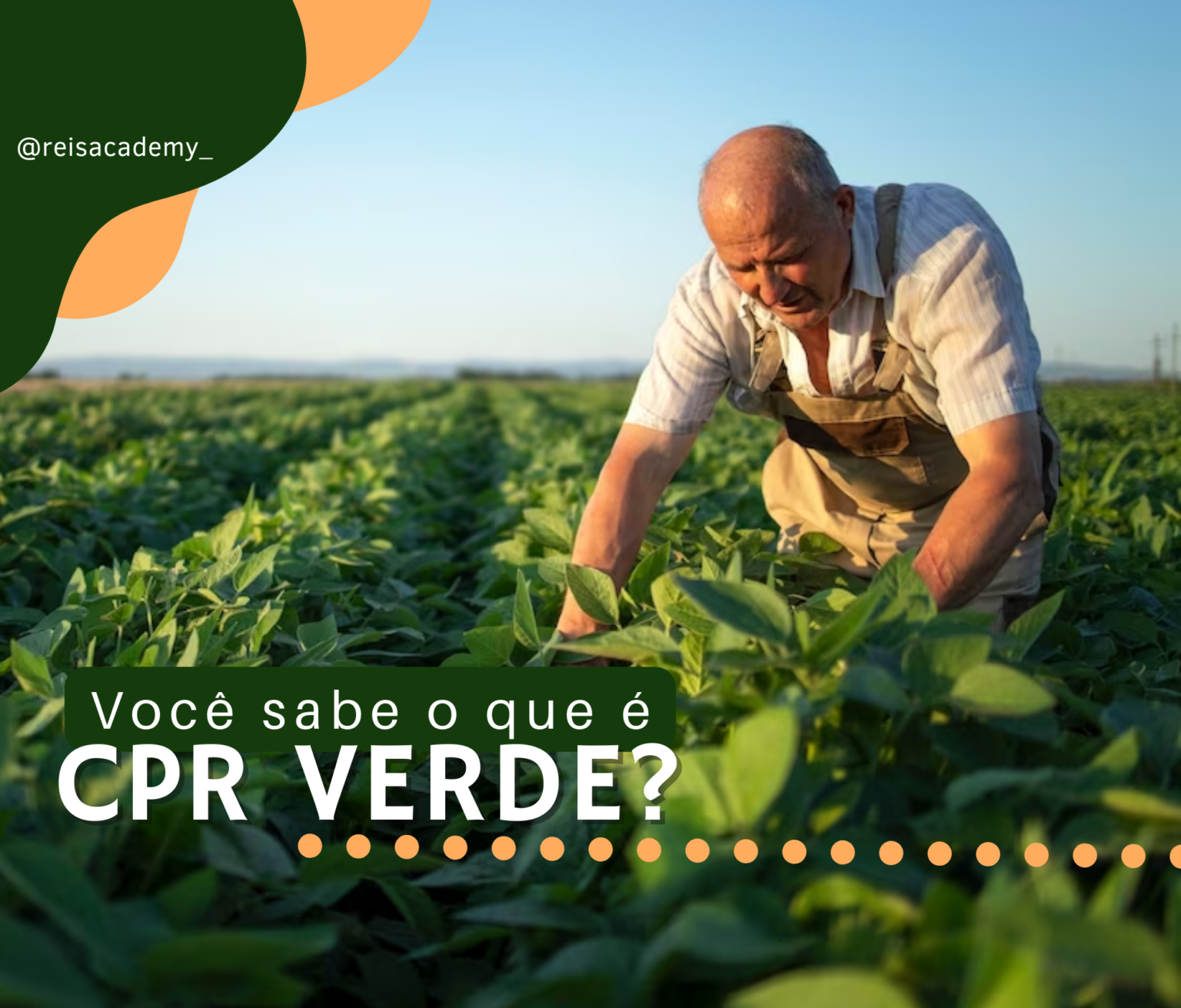 Você sabe o que é CPR Verde? (CPR-V) - Reis Academy